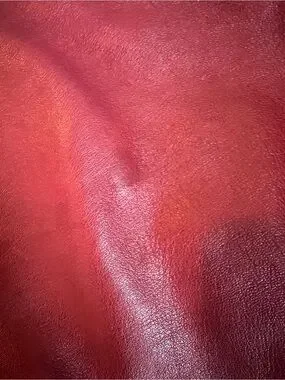 Kookai | Skirts | Kookai Burgundy Red Lamb Leather Mini Skirt Size Us 6 ...